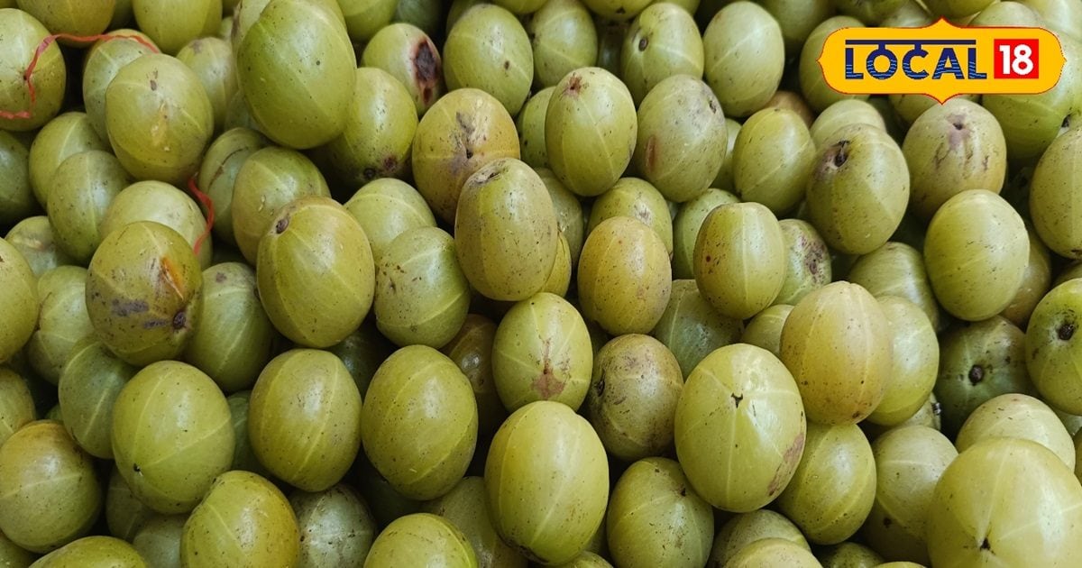 Amrit fruit is a treasure of qualities, include it in your diet ...