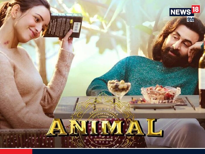 दिल जीत लेगा 'एनिमल' की भाभी 2 का ये अवतार, फैंस बोले-'तृप्ति डिमरी है ...