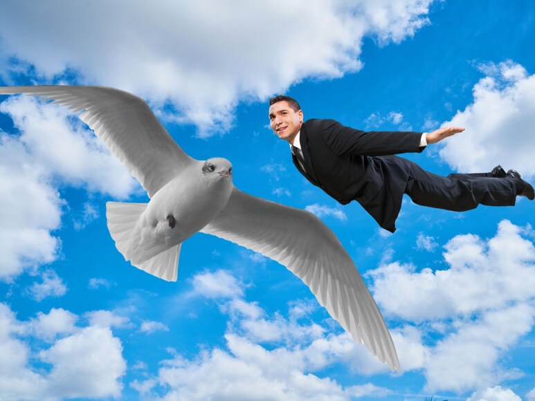 क्या पक्षियों की तरह उड़ सकता है इंसान, पंख जैसे होते हैं हाथ, तो क्यों ...