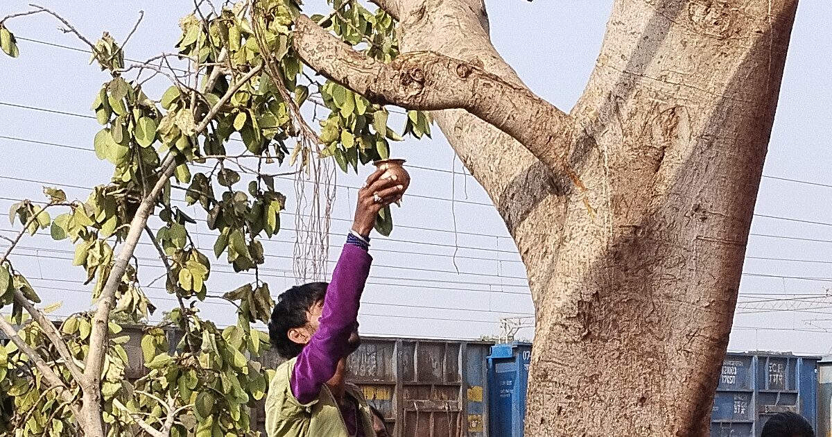 मजदूरों ने काटा बरगद का पेड़, डाल में हुआ 'दैवीय चमत्कार' लोग घबराए, अब ...