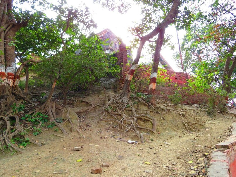 PHOTOS: इस पर्वत पर भगवान राम और माता सीता झूलते थे झूला, अयोध्या जाएं ...