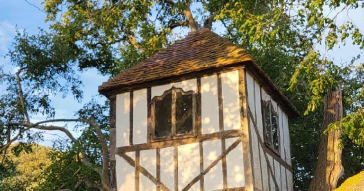 क्या करेंगे सबसे पुराने ट्री हाउस की सैर? ब्रिटेन की रानी भी रह चुकी ...