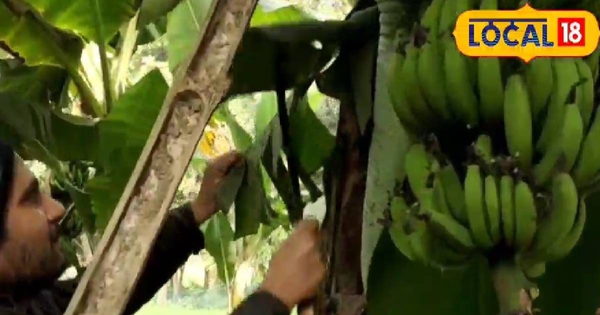 Success Story: Engineer farmer changed the mindset of villagers through ...