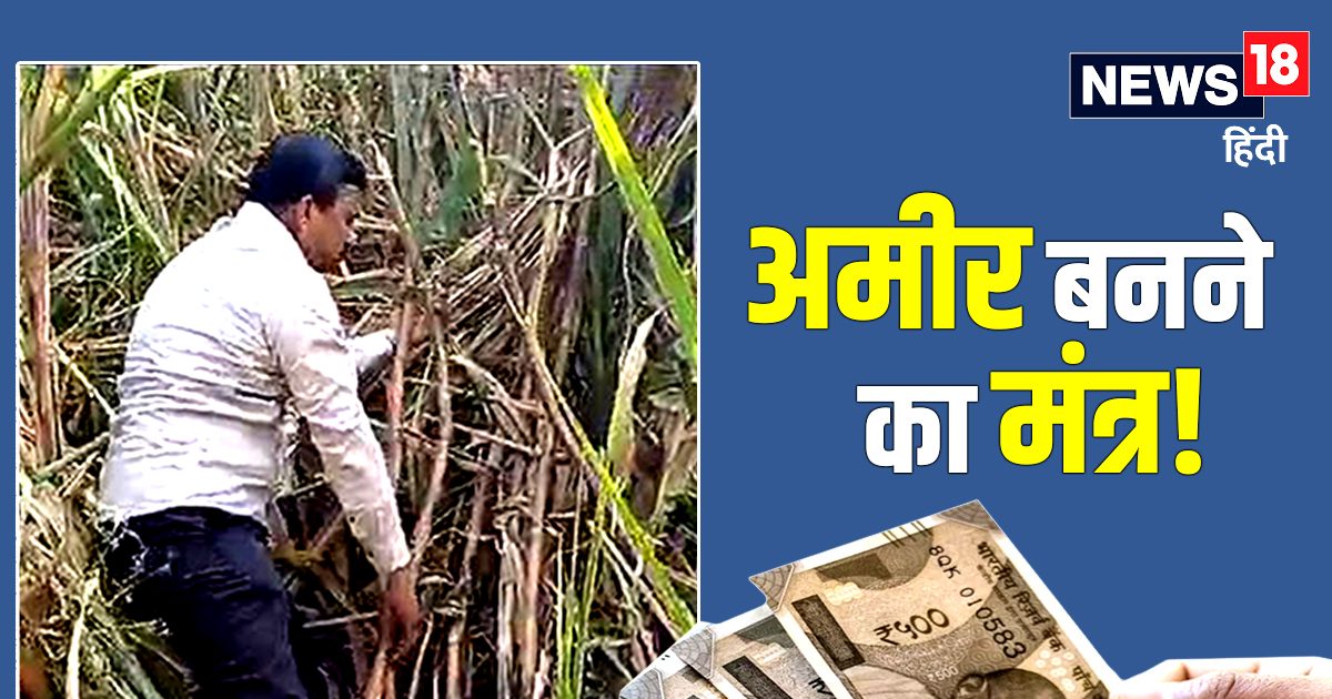 बनना है अमीर तो करें ऐसी खेती मात्र 2000 गज में 57 टन गन्ना 1 एकड़