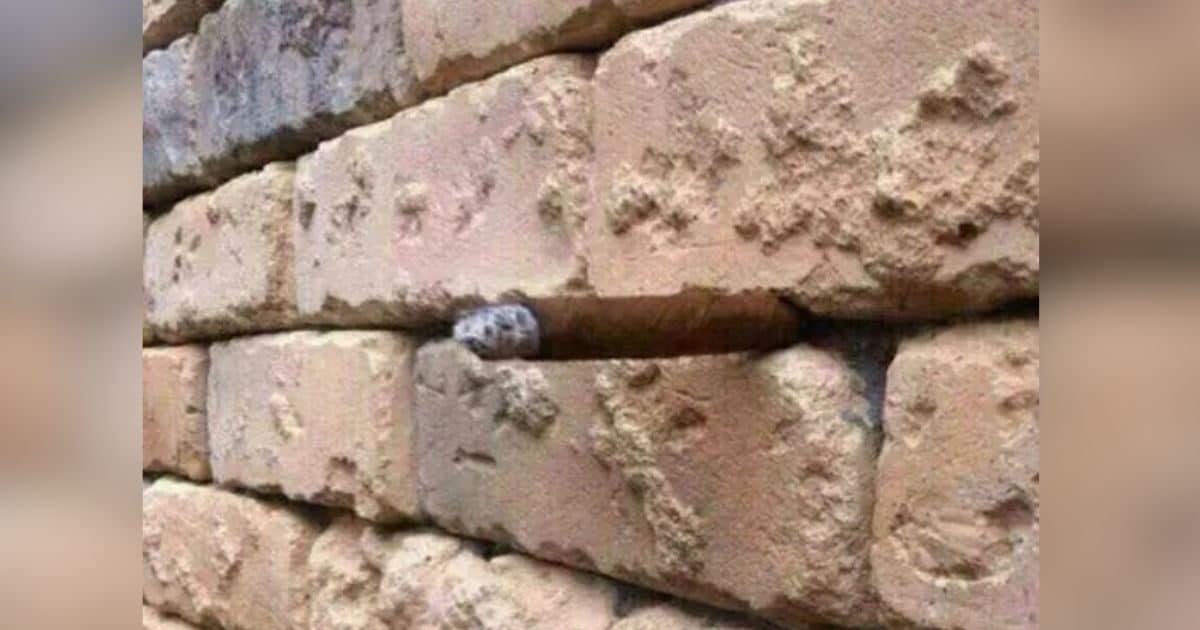 दीवार में कहां छिपा है सिगार? ढूंढ पाना नहीं है सबके बस की बात, आपको ...