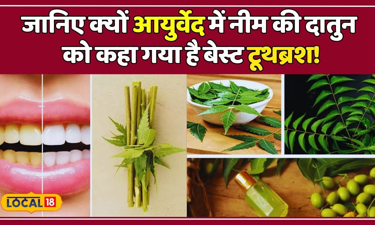 Neem Stick Benefits: दांतों के लिए रामबाण है नीम का दातुन, फायदे जानकर ...