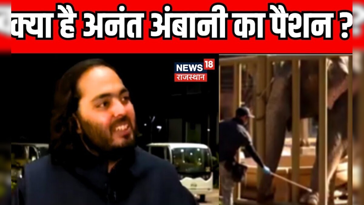 Anant Ambani Interview: अपने Passion को लेकर क्या बोले Anant Ambani ...
