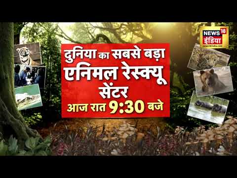 Vantara Animal Rescue Centre : दुनिया का सबसे बड़ा एनिमल रेस्क्यू सेंटर ...