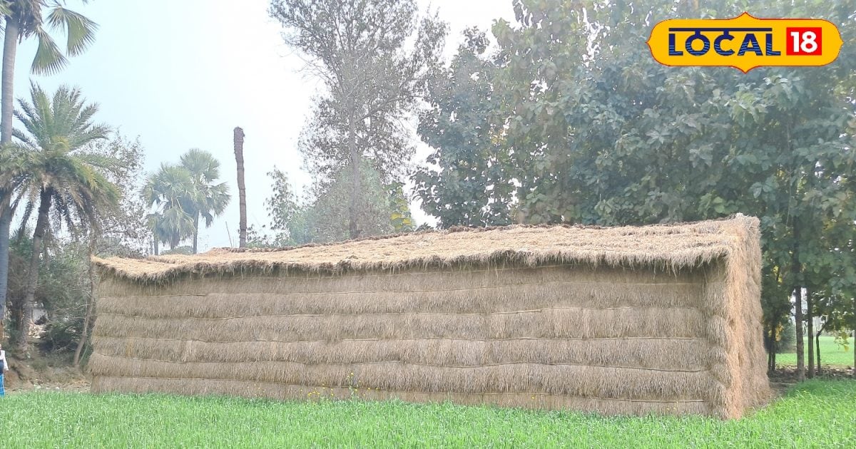 In Gaya Bihar This hut is an ATM you can earn Rs 5 to 6 lakh in just 2 ...