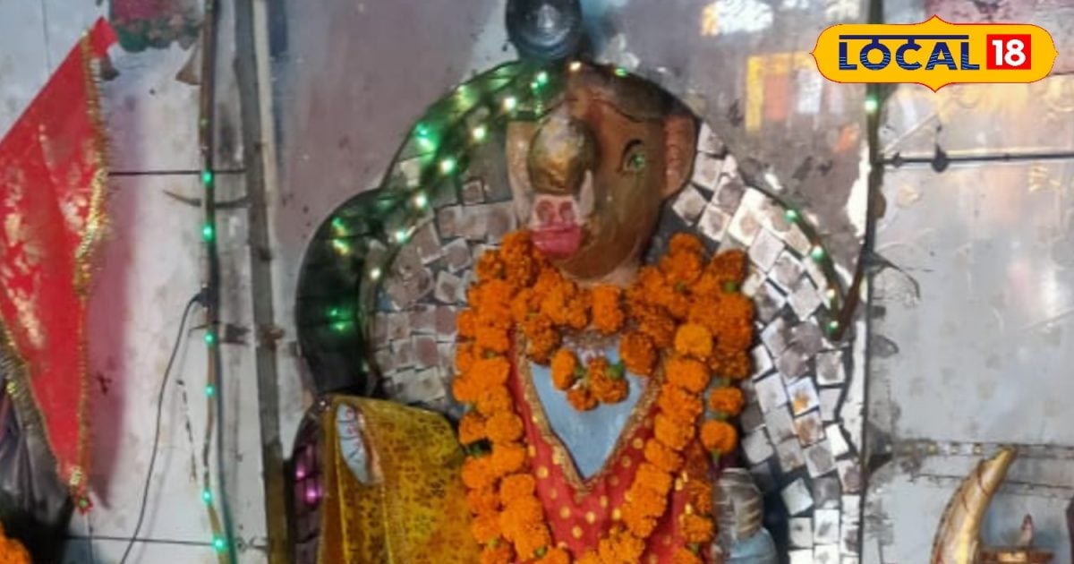 Uttarakhand only Varaha dev temple located in rishikesh god idol made ...