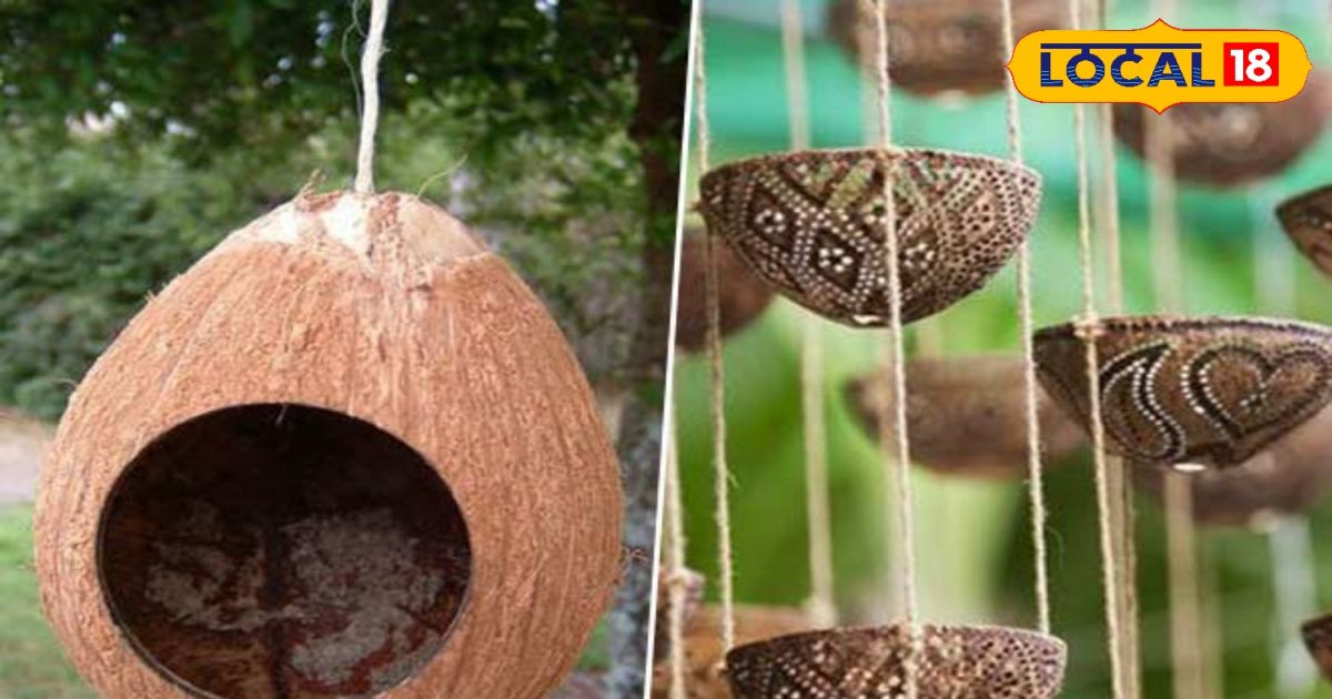 Don't throw away coconut peel. Use it like this useful in enhancing the ...