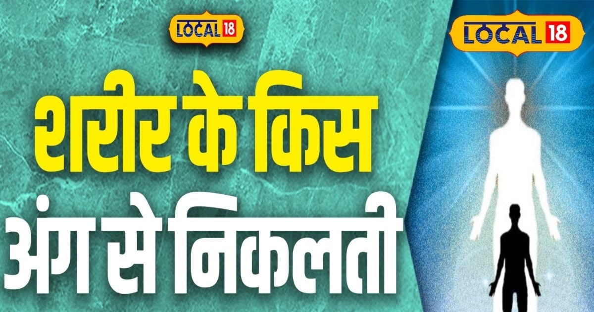 After death, from which organs of a human being does life come out