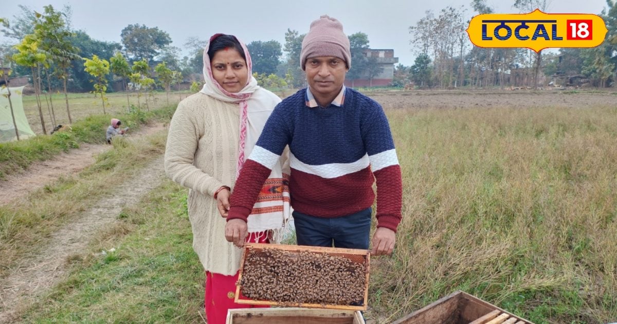 Honey from this forest of Bihar is superior to branded honey, a group ...