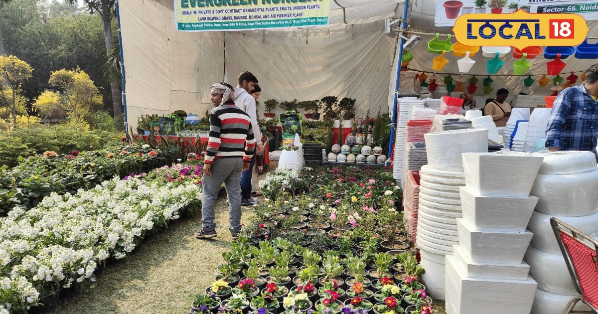 A flower show is organized here in Delhi, where all kinds of ...