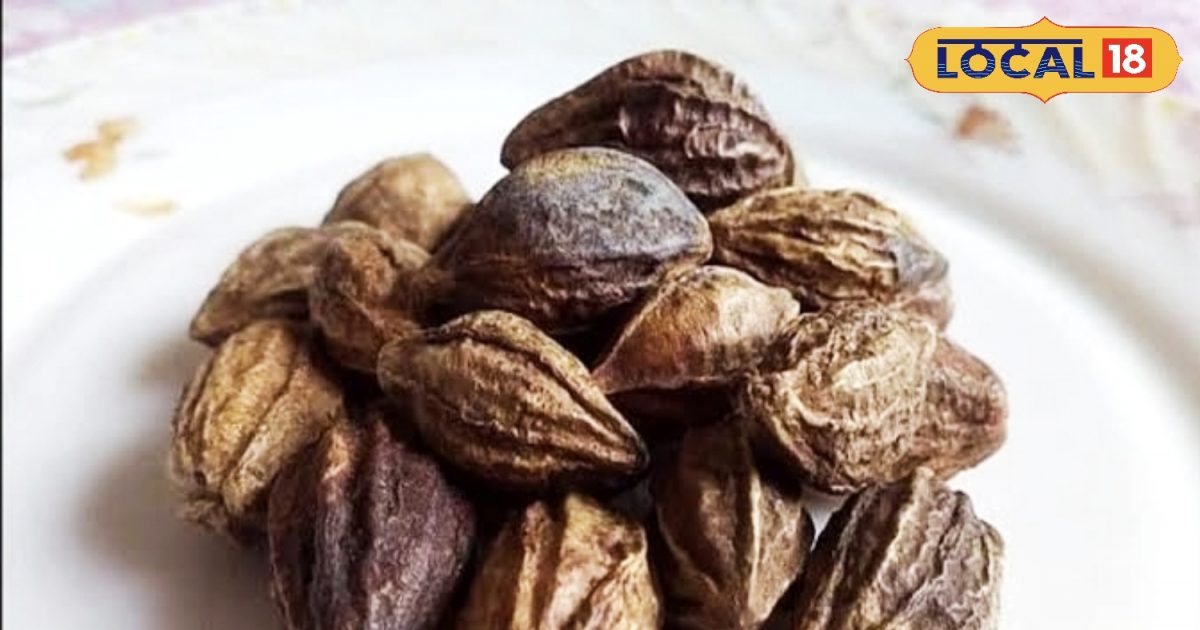 पेट और लीवर के लिए रामबाण है हरड (हर्रा), खांसी में भी है फायदेमंद ...