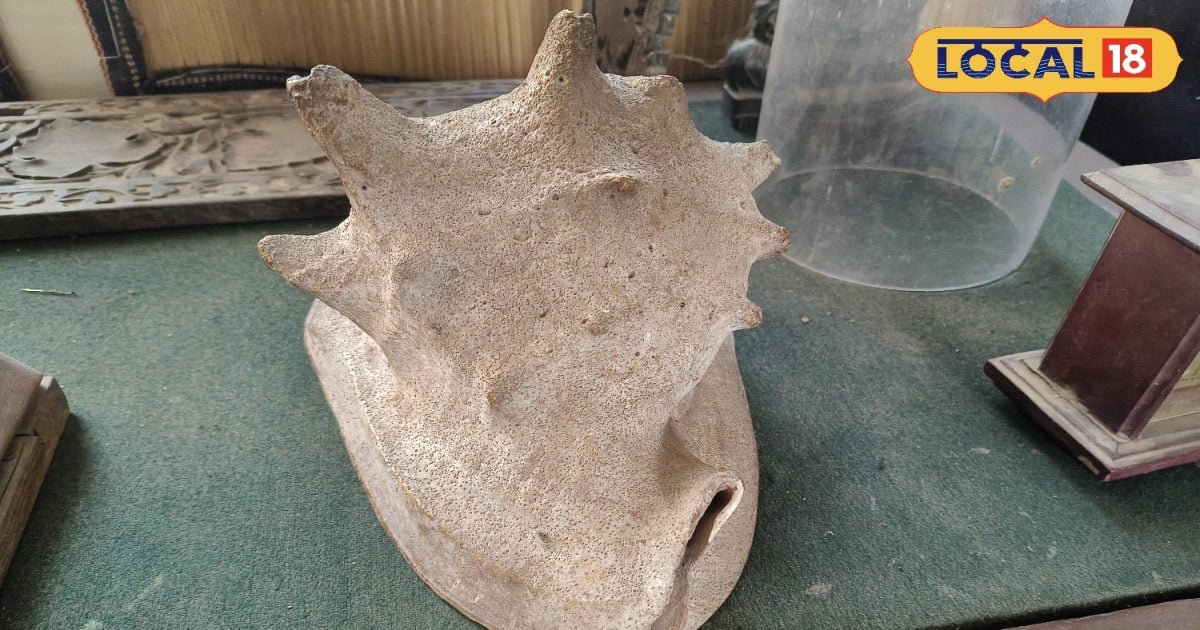 Two mythological conch shells which are one lakh years ...