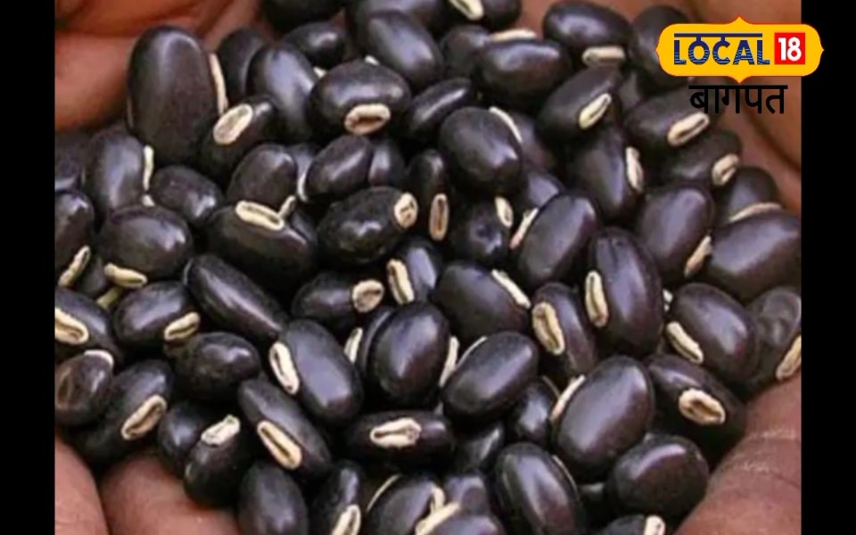 Konch tree is full of medicinal properties, the root this tree have ...