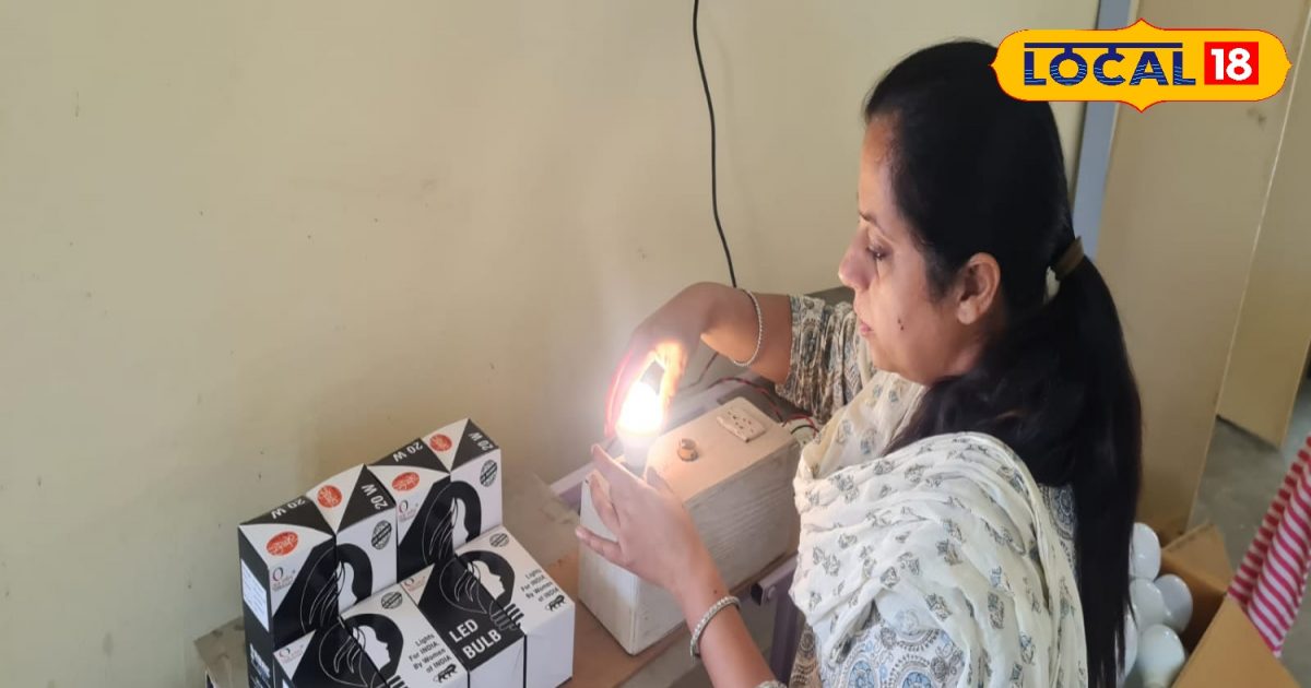 Kamalpreet Kaur ora infini company making LED bulbs in dehradun