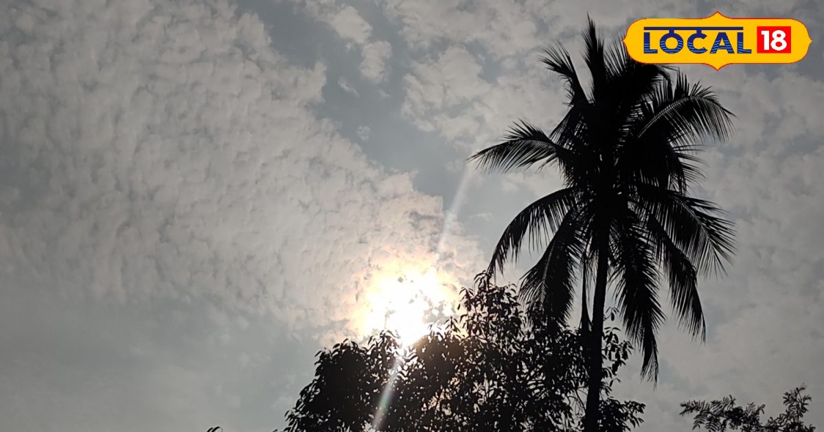 Bihar Weather Update It will rain in Bihar after noon people of these ...