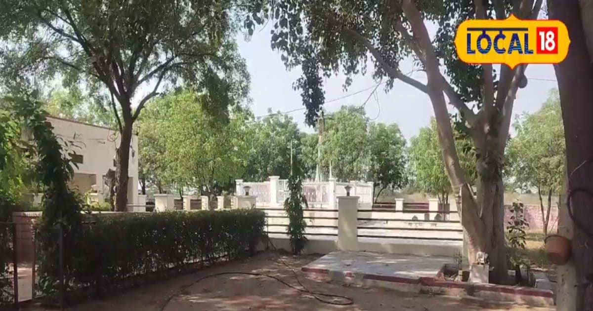 a tree was cut by mistake in 1800 bigha oran of gudabhagwan das village ...