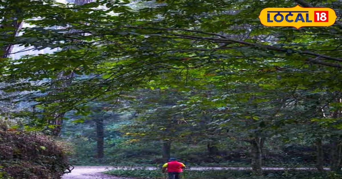 You can trekking to these places in Almora