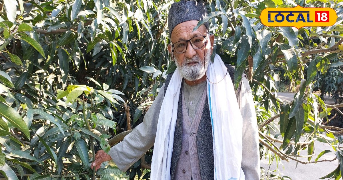 Haji Kalimullah Khan famous Mango Man, has grown another unique tree of ...