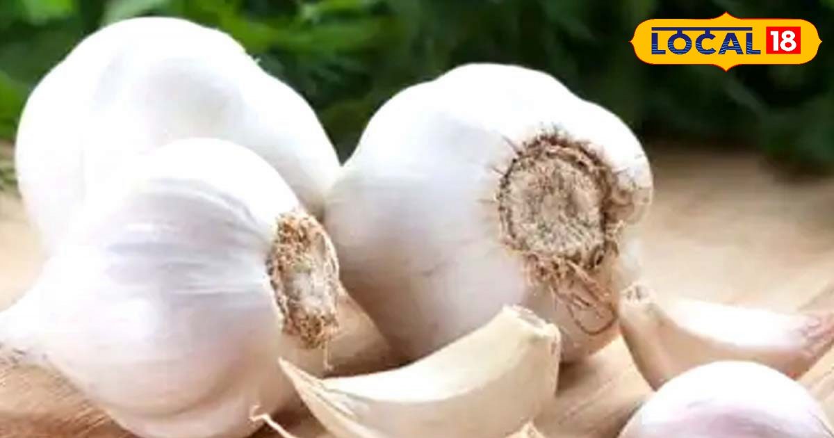 These people should not consume garlic even by forgetting will not be ...