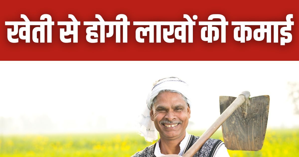 jeere ki kheti farmers can earn lot much profit from Cumin farming ...