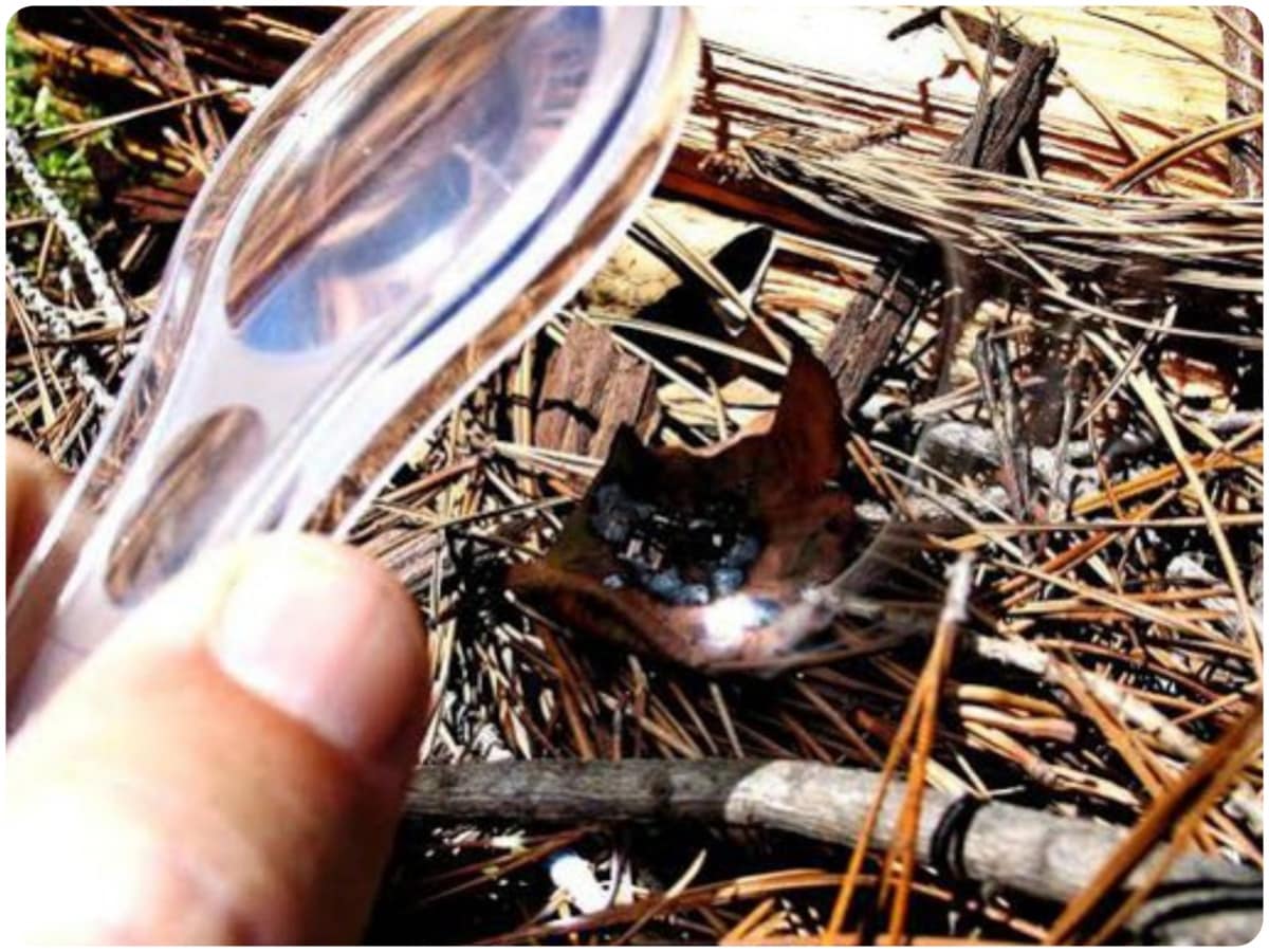 Fire can be lit with ice too secret is hidden in class 6th science ...