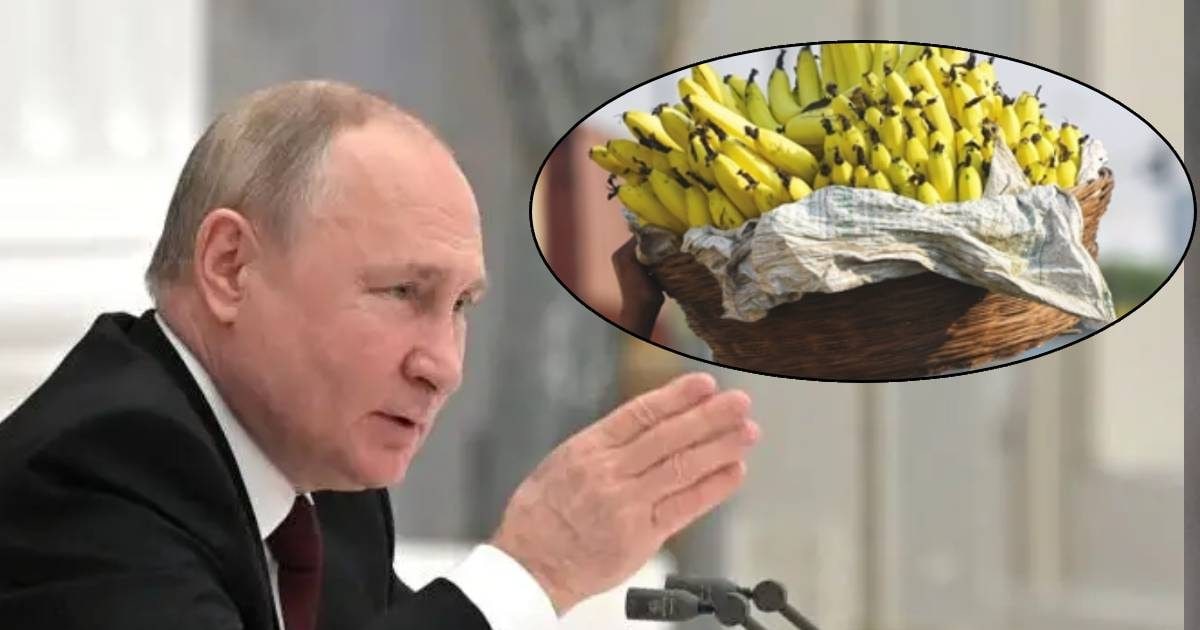 रूस की BANANA डिप्‍लोमेसी! इस देश को सबक सिखाने के लिए बंद किया आयात ...