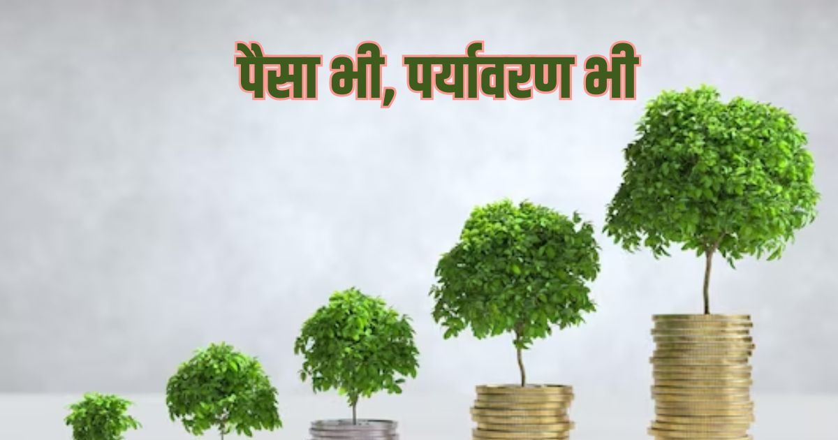 SBI Green Rupee Term Deposits: पर्यावरण के साथ भविष्य भी बचाएं, एसबीआई ...