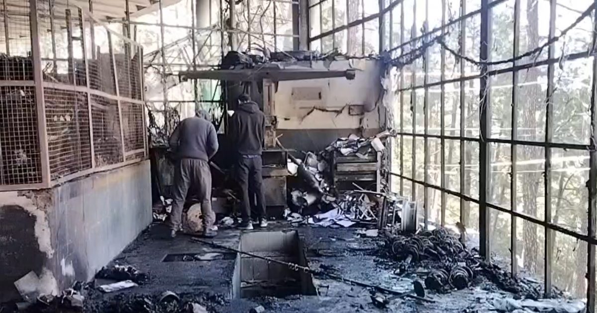 Tata Showroom Fire: शिमला में सुुबह 4 बजे हुआ धमाका, फिर टाटा के शोरूम ...