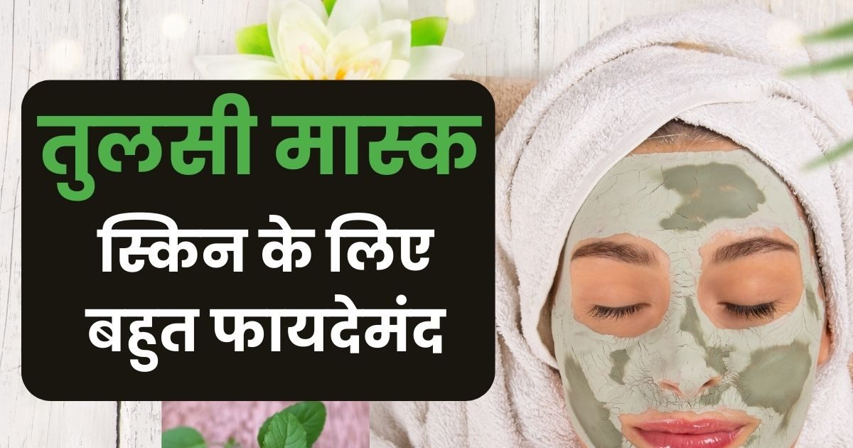 Tulsi mask For Skin Care: इम्‍यूनिटी बढ़ाने के साथ-साथ तुलसी के पत्ते ...