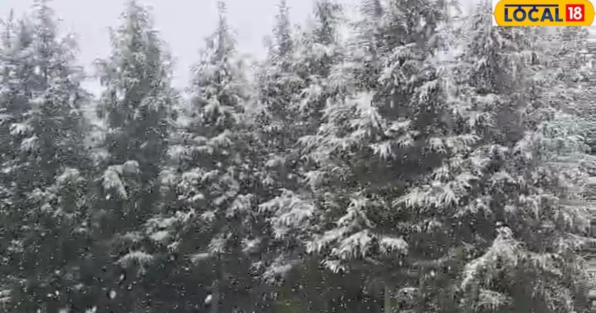 first snowfall of the season brings good tidings for Uttarakhand ...