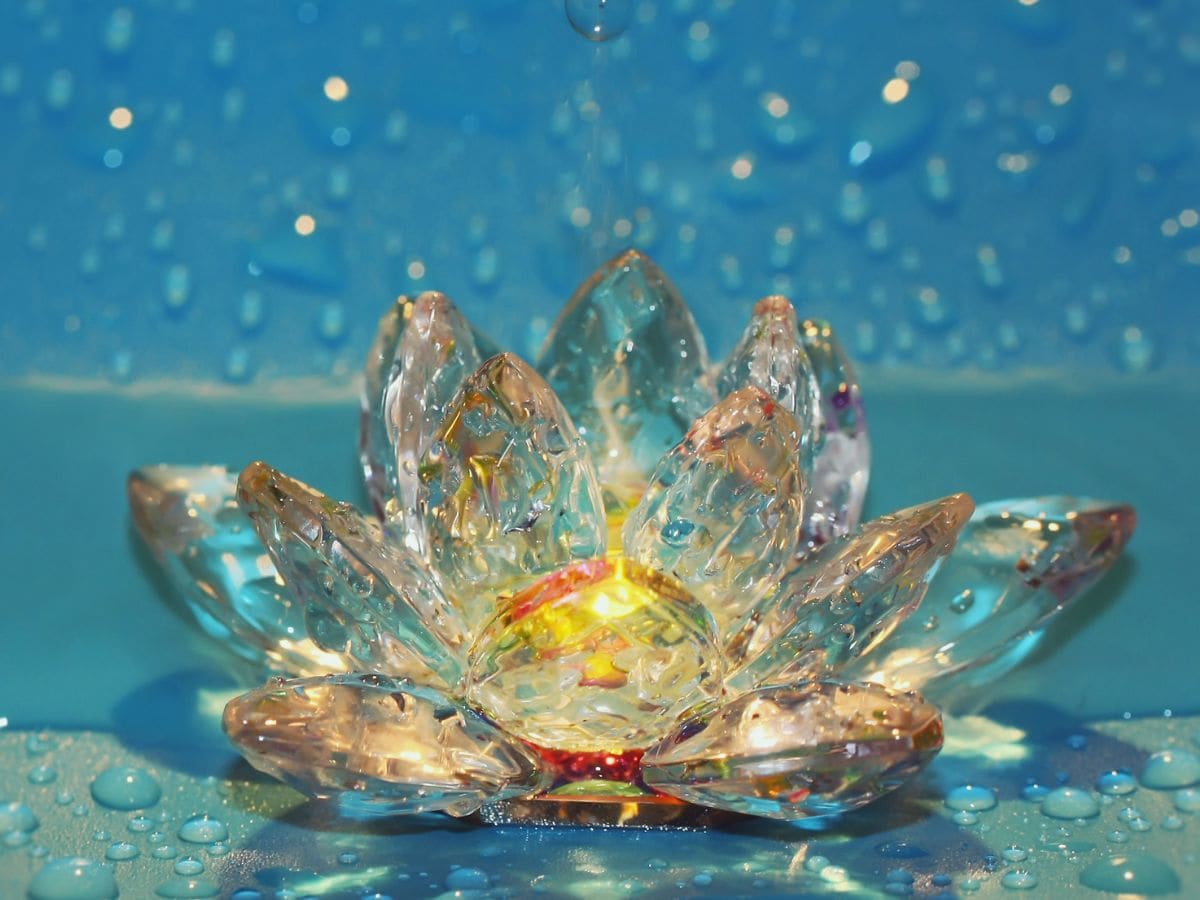 Crystal Lotus: एक जगह अटकी है आपकी लाइफ, करियर, लव और आर्थिक क्षेत्र ...