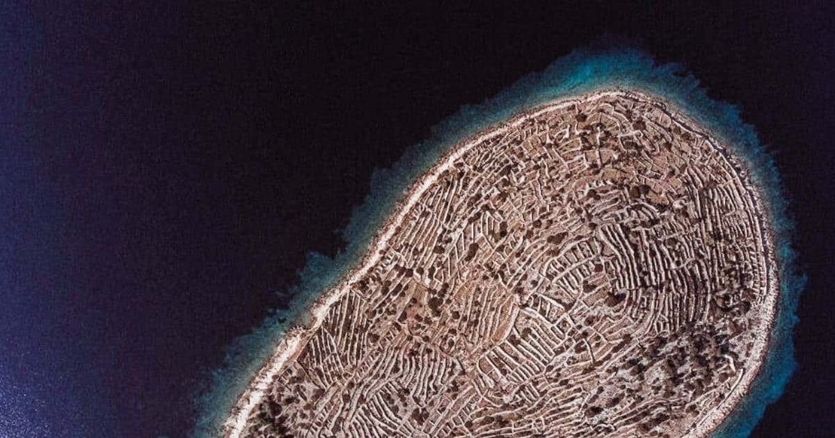 पहली नजर में बताएं, आखिर क्या है ये? सोच रहे हैं फिंगरप्रिंट तो हैं गलत ...