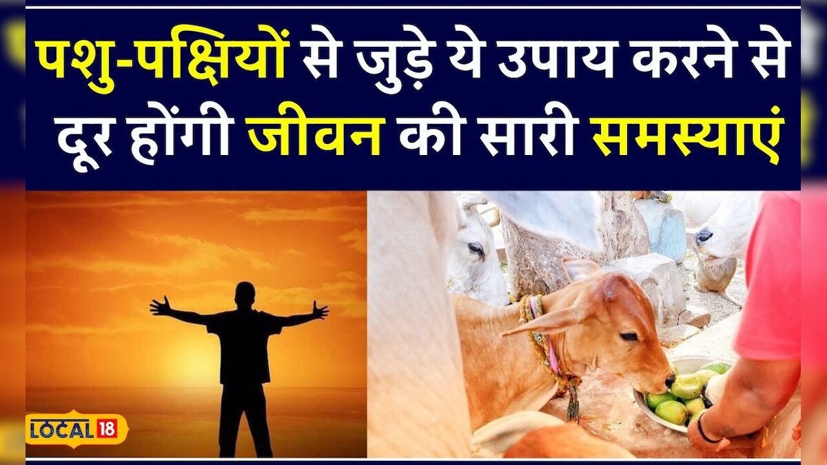 Astro Tips: पशु-पक्षियों से जुड़े ये उपाय करने से दूर होंगी जीवन की ...
