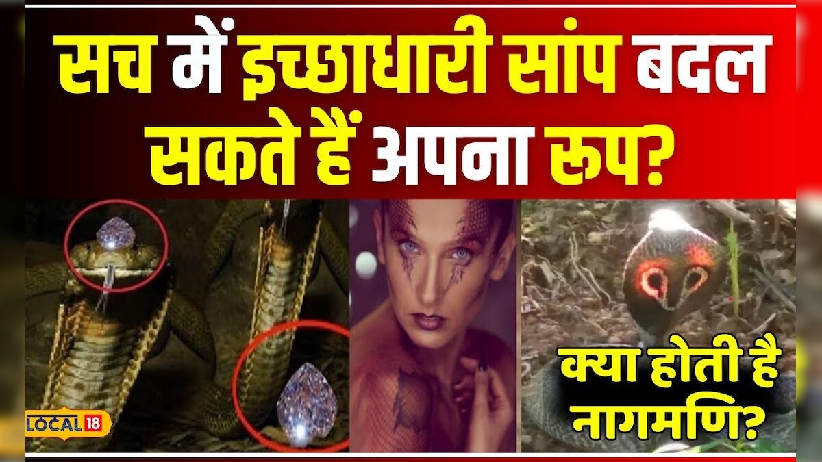 Nagmani Myth: क्या सांप इच्छाधारी होता है? क्या उसके पास होती है नागमणि ...