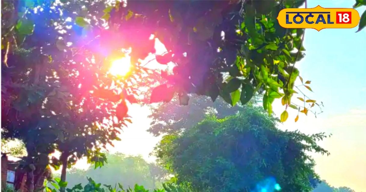 Bihar Weather Update: There has been a change in the weather of Bihar ...