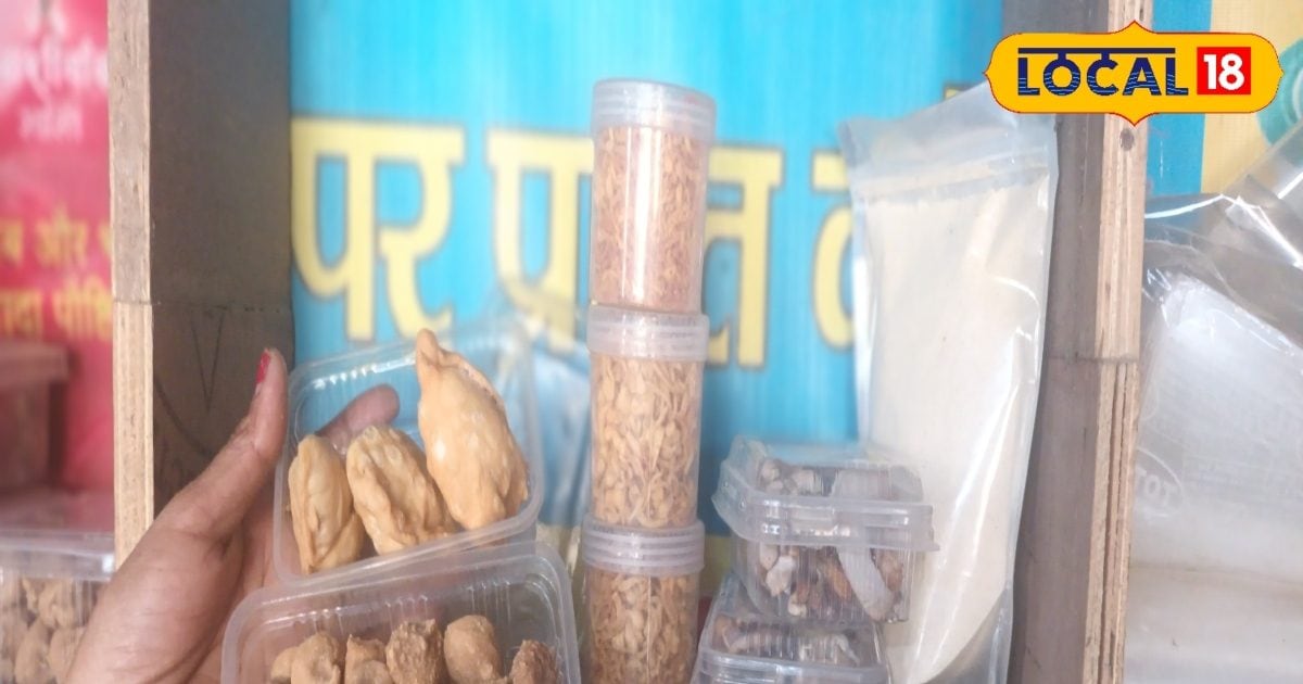 Madhepura Bihar Aanju Made mushroom a brand by taking idea from YouTube ...