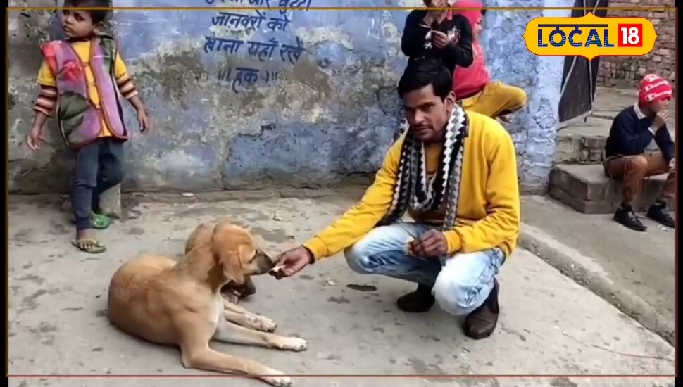 Dr. Javed came forward for stray animals and dogs, made space for food ...