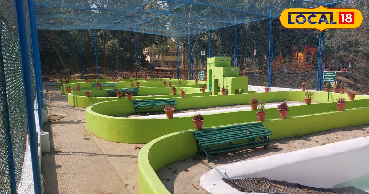 Bihar first tortoise center will be seen in a new look after renovation