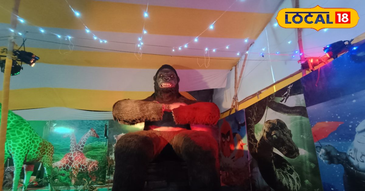 45 feet gorilla and roar of dinosaur, this fair is full of thrill for ...