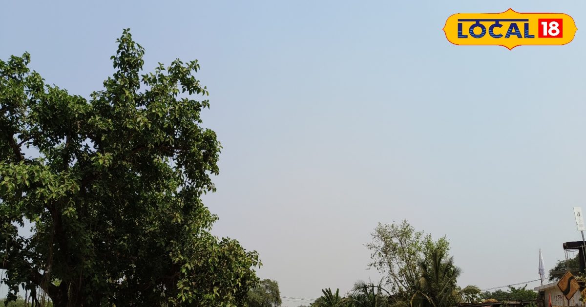 Change in weather of Chhattisgarh, light rain at many places, hailstorm ...