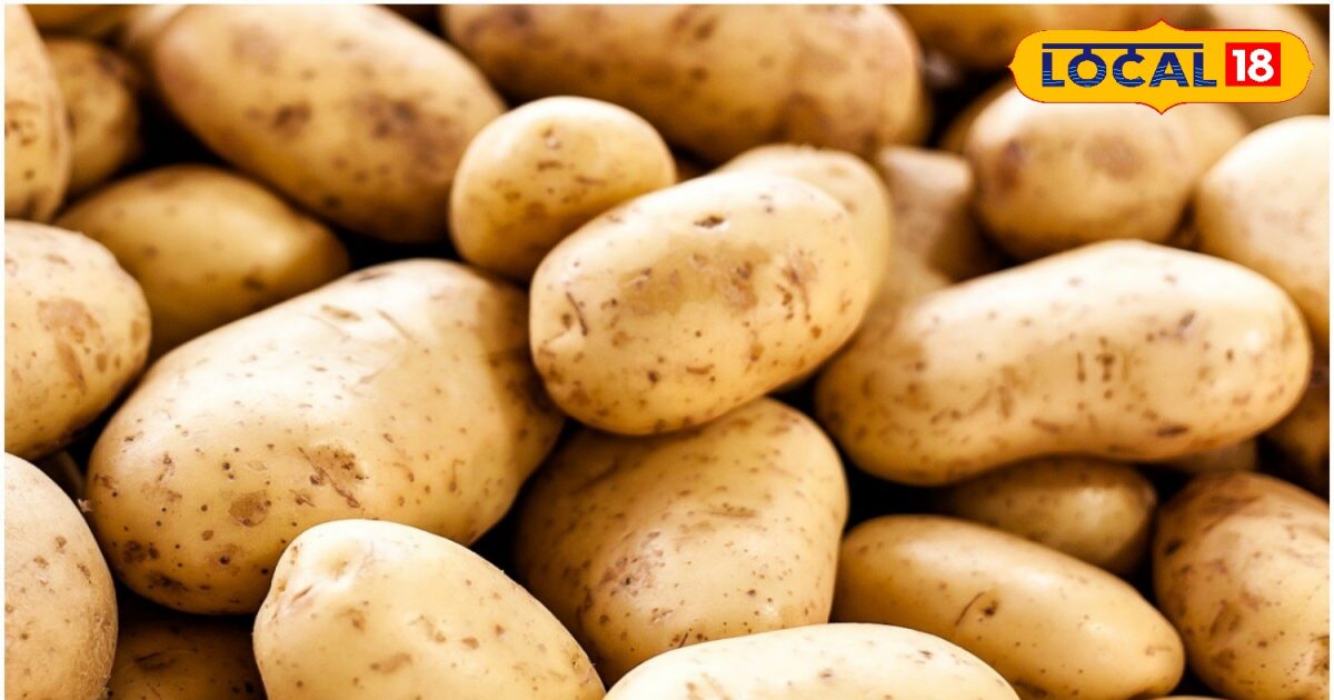 Potato can also be exported in Moradabad, cluster will be formed soon ...