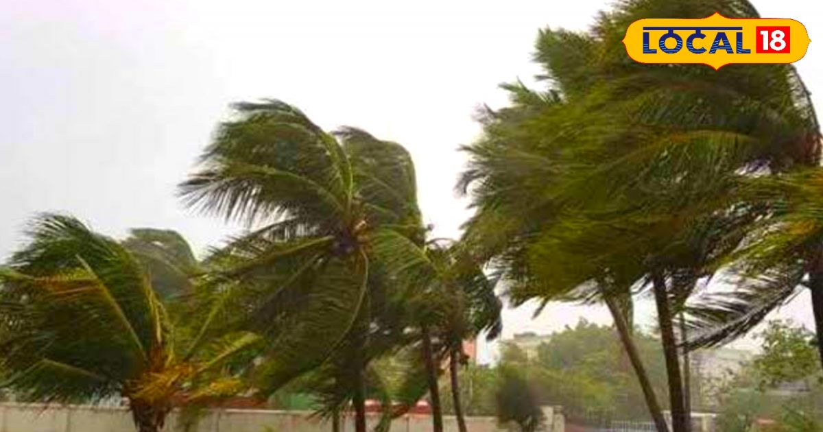 Bihar Weather Update: Bihar is in the grip of strong wind and heavy ...