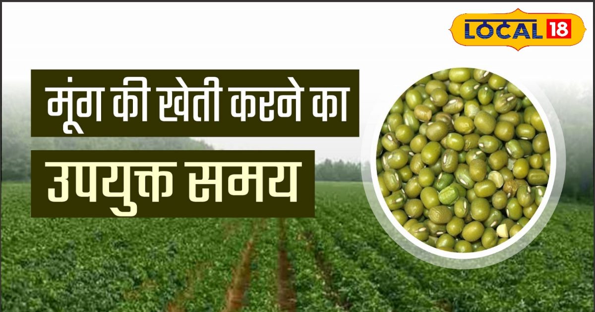 Farmers can earn additional income worth lakhs by cultivating summer ...