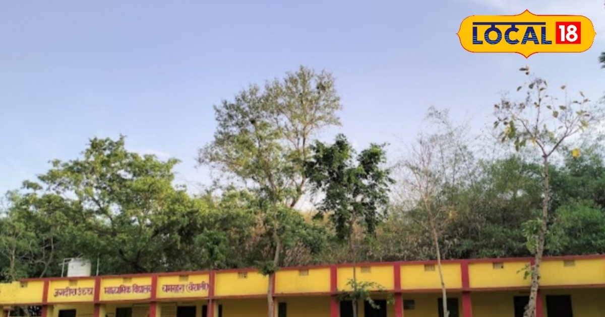 bihar-board-12th-result-2024-fake-topper-had-once-emerged-read-the-full ...