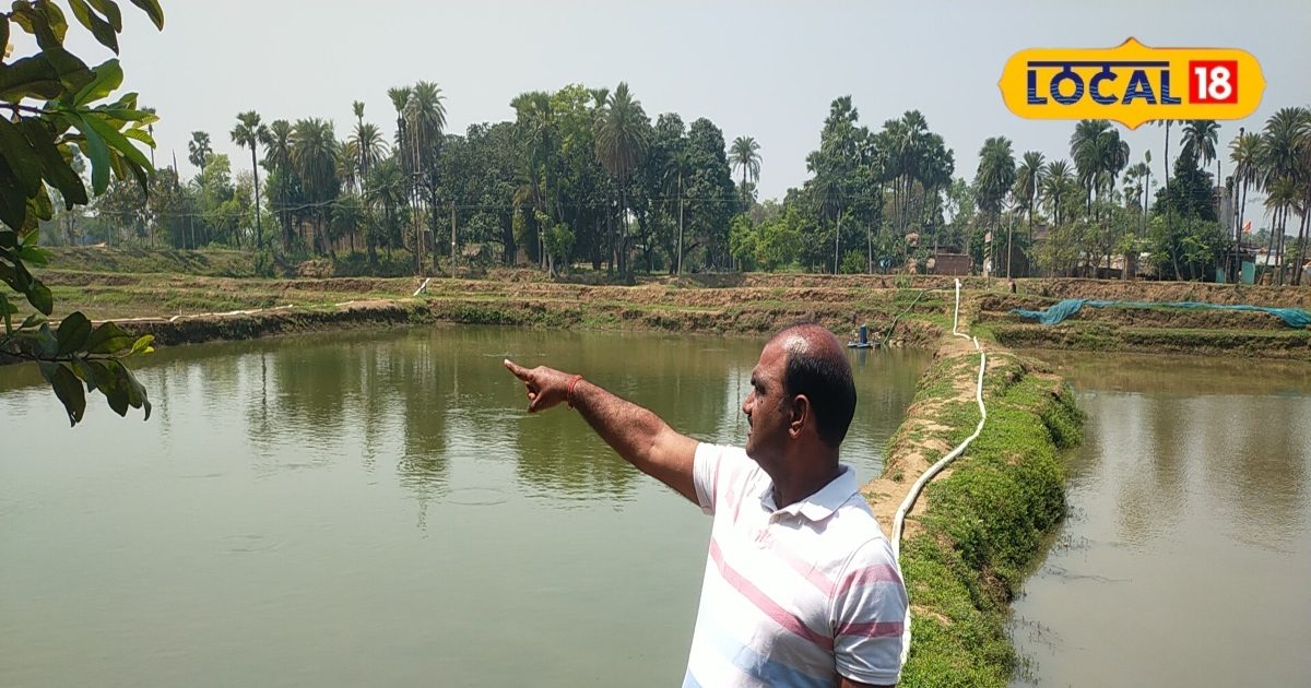 These farmers of Banka do fish farming in 10 ponds, production is 500 ...