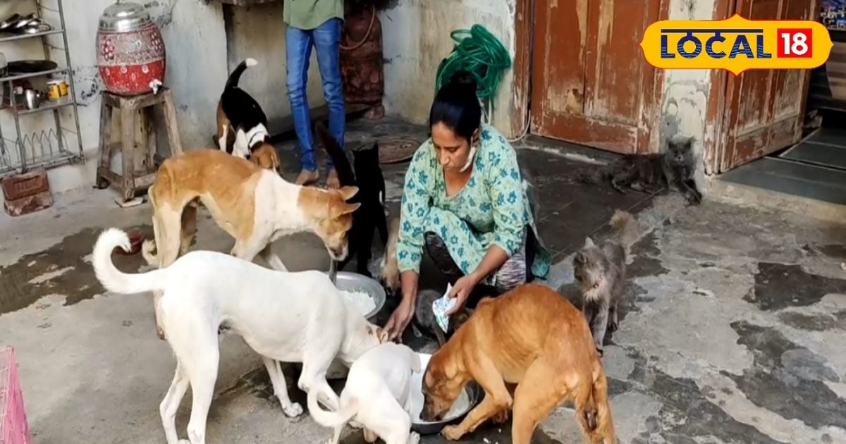 ganga devi becomes the mother of dumb animals, rescues dogs and cats ...